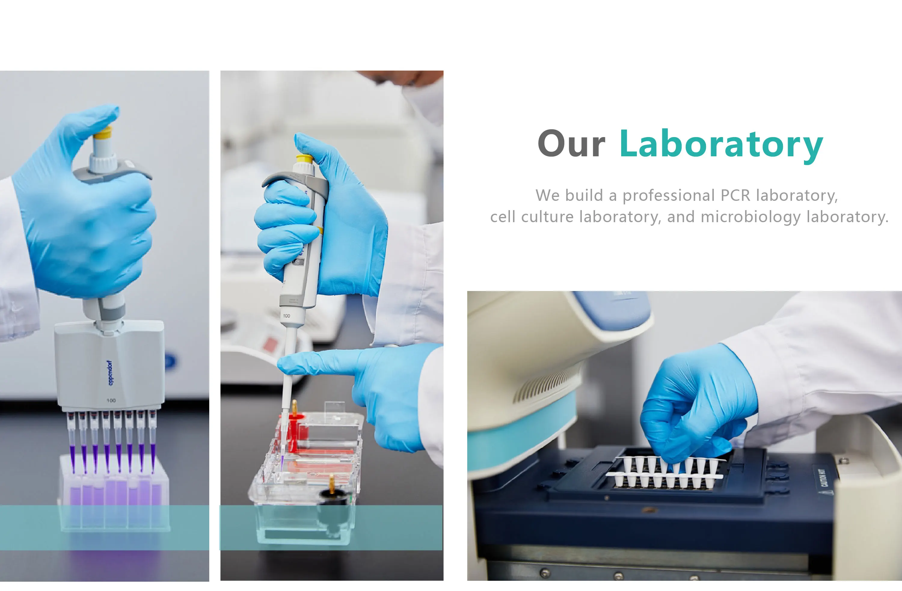 200ul Microliter Micropipette Pipette Tips for Lab Sterile