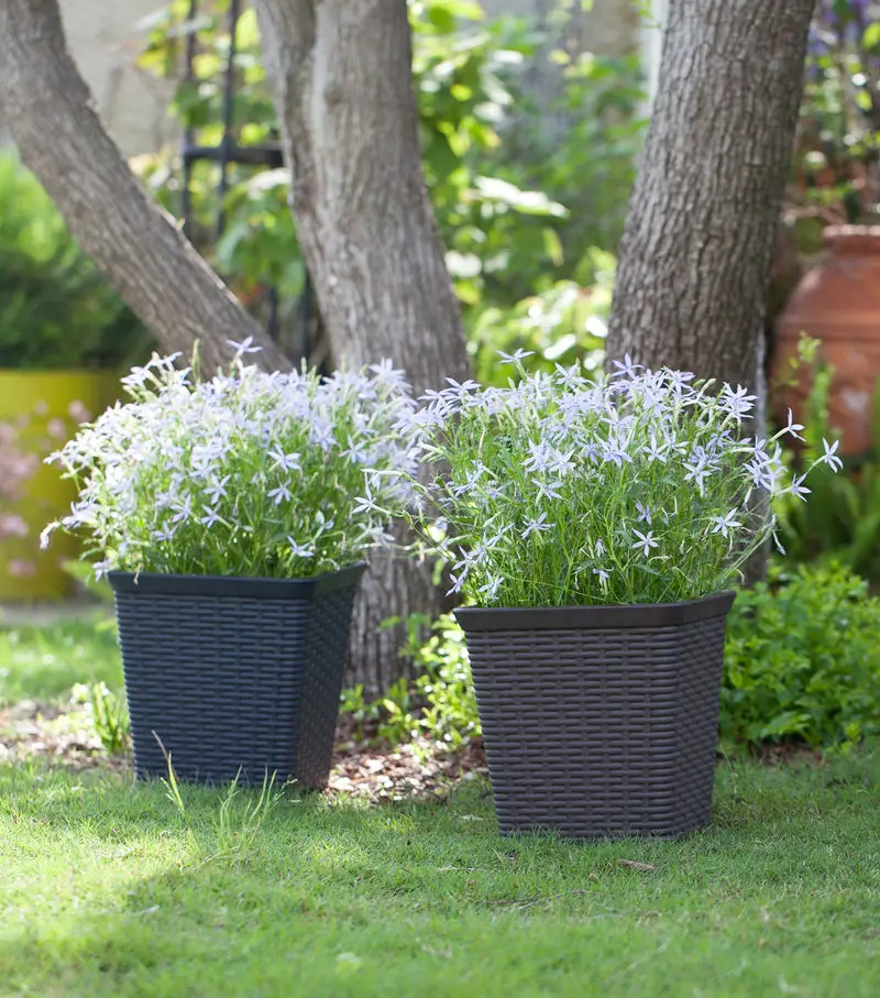 Guangzhou Large Outdoor Black Gardening Flower Pot Dual Poly Resin Pe ...