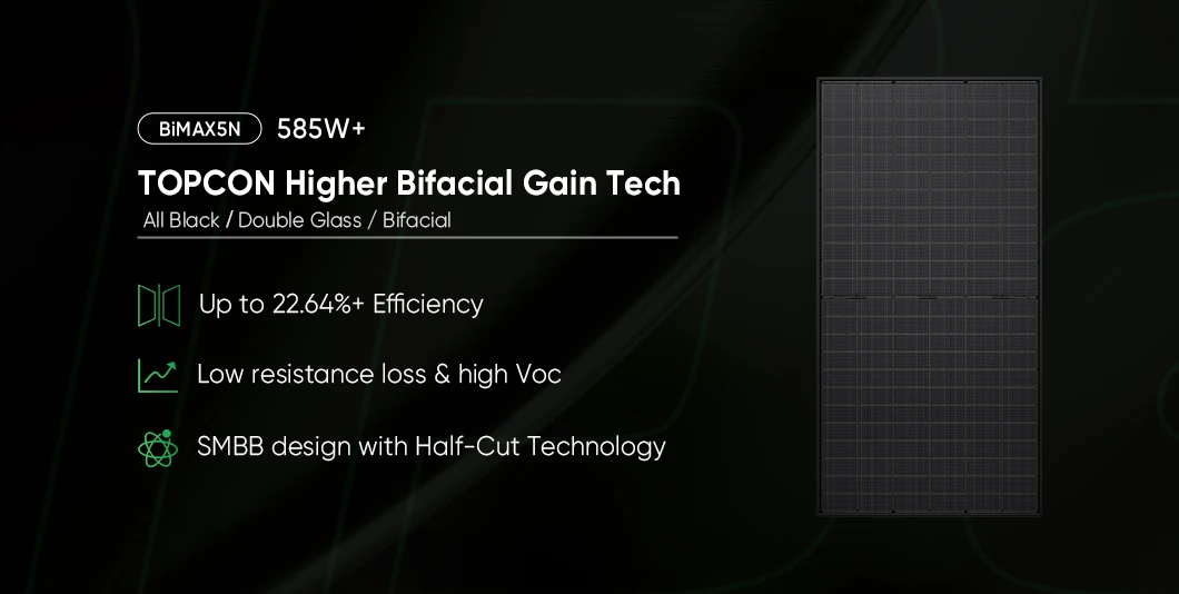 Topcon Solar Panels N Type Bifacial 410w 420w 430w 460w 450w 455w 445w ...