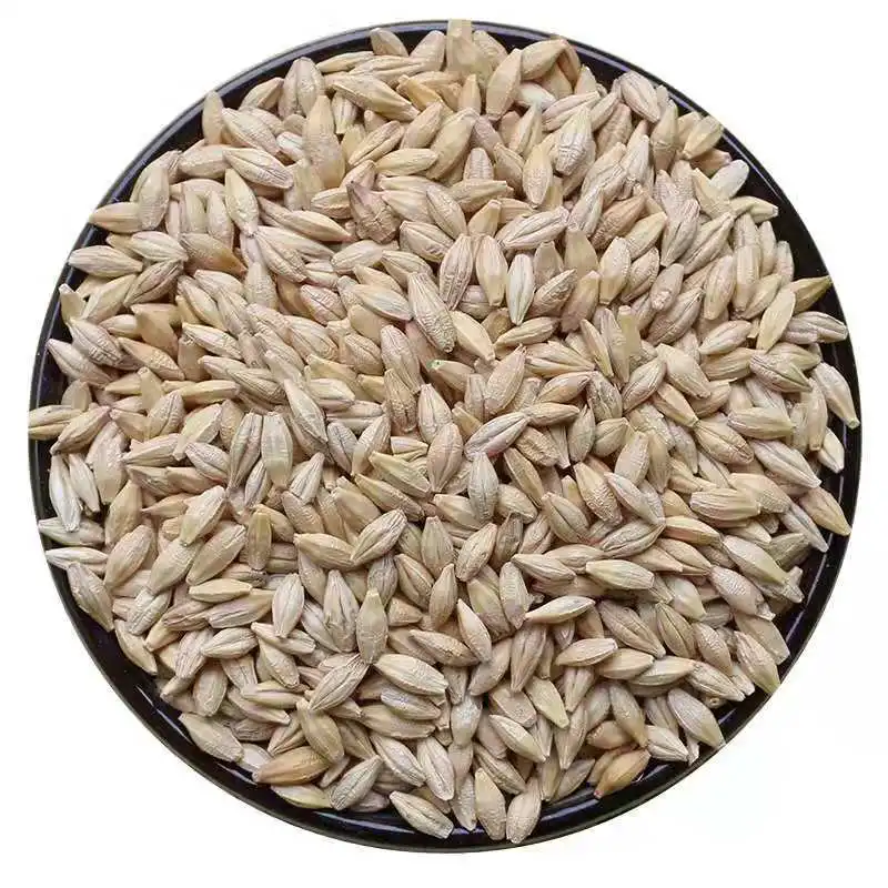 Poultry Feed Wholesale Price Bird Feed Barley Malt Grain Animal Feed ...