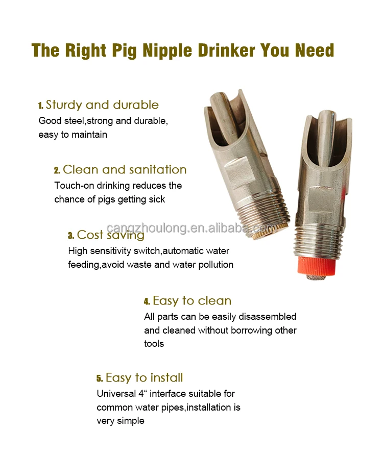 Automatic Pig Drinker Nipple - Durable Stainless Steel