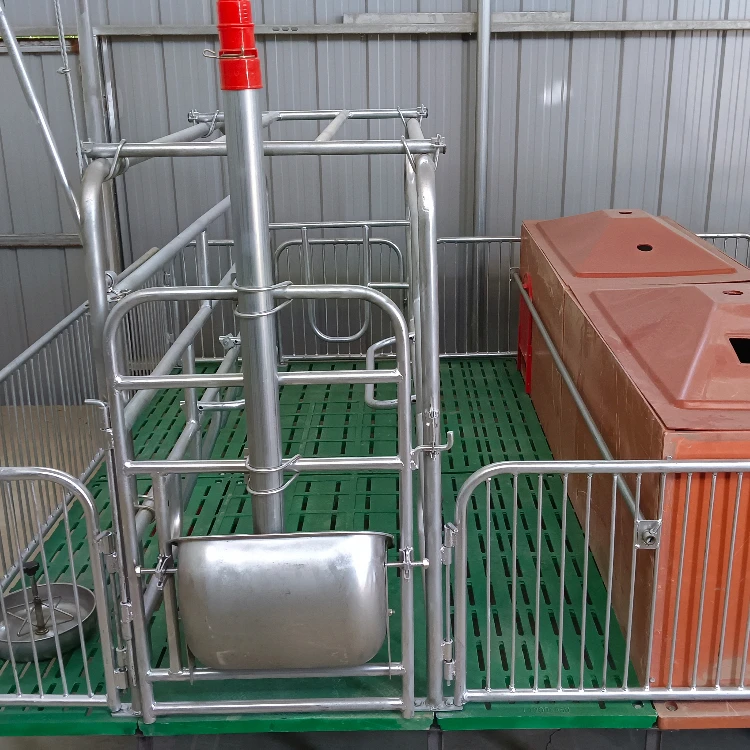 Farrowing Crates Feeders Double Pig Farrowing Pens Sow Pig Farrowing ...