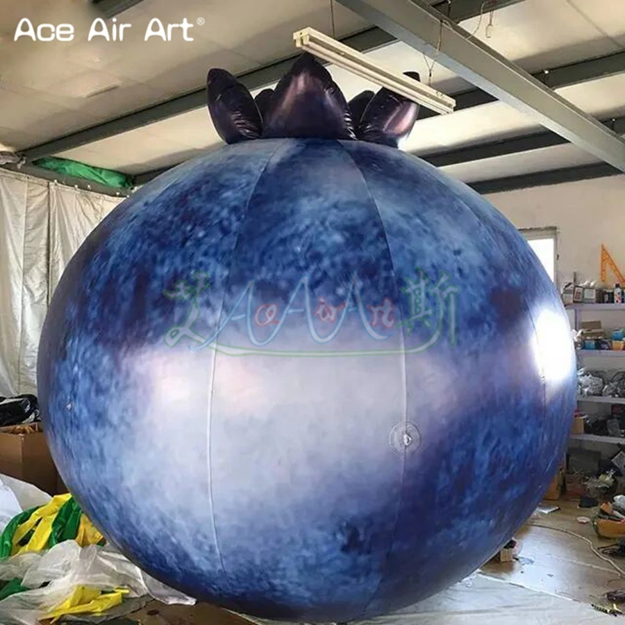 Alibaba.com: Giant 5m Blueberry Inflatable Balloon Model, Oxford ...