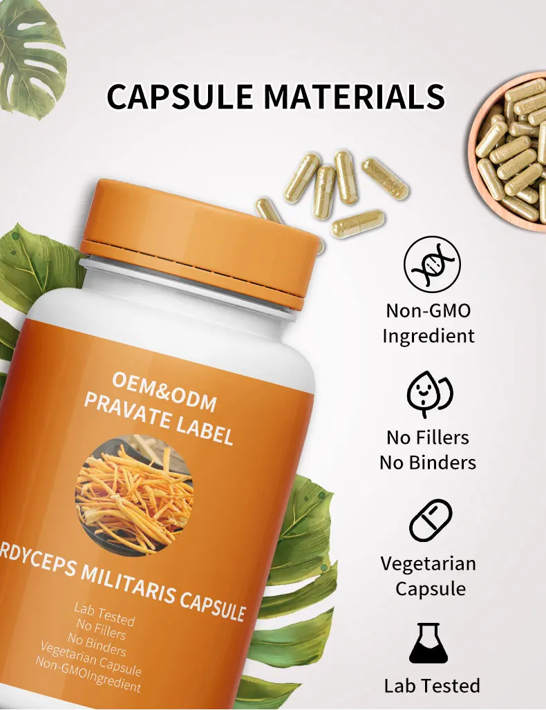 Oem Herbal Supplements Cordyceps Extract Capsules Cordyceps Sinensis ...