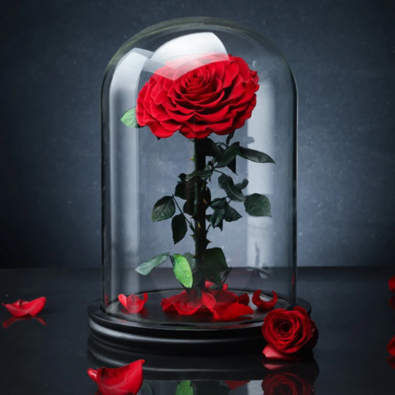 Prince Series Eternal Preserved Roses And Moss In Glass Dome Gift For ...