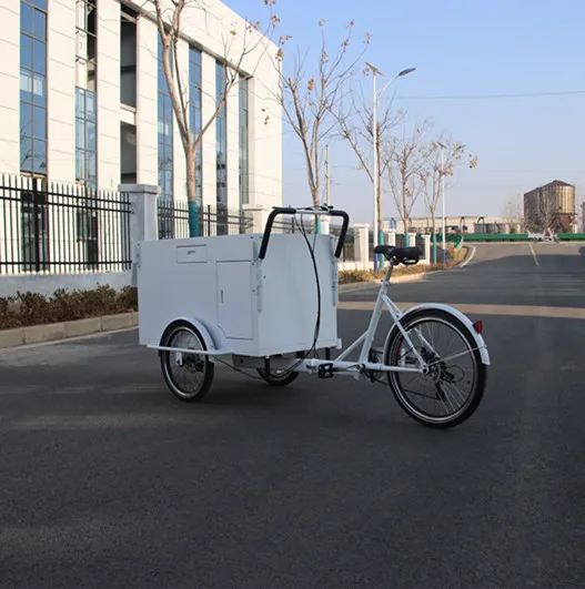 Lithium Battery Freezer Bike - Perfect for Ice Cream Trailers