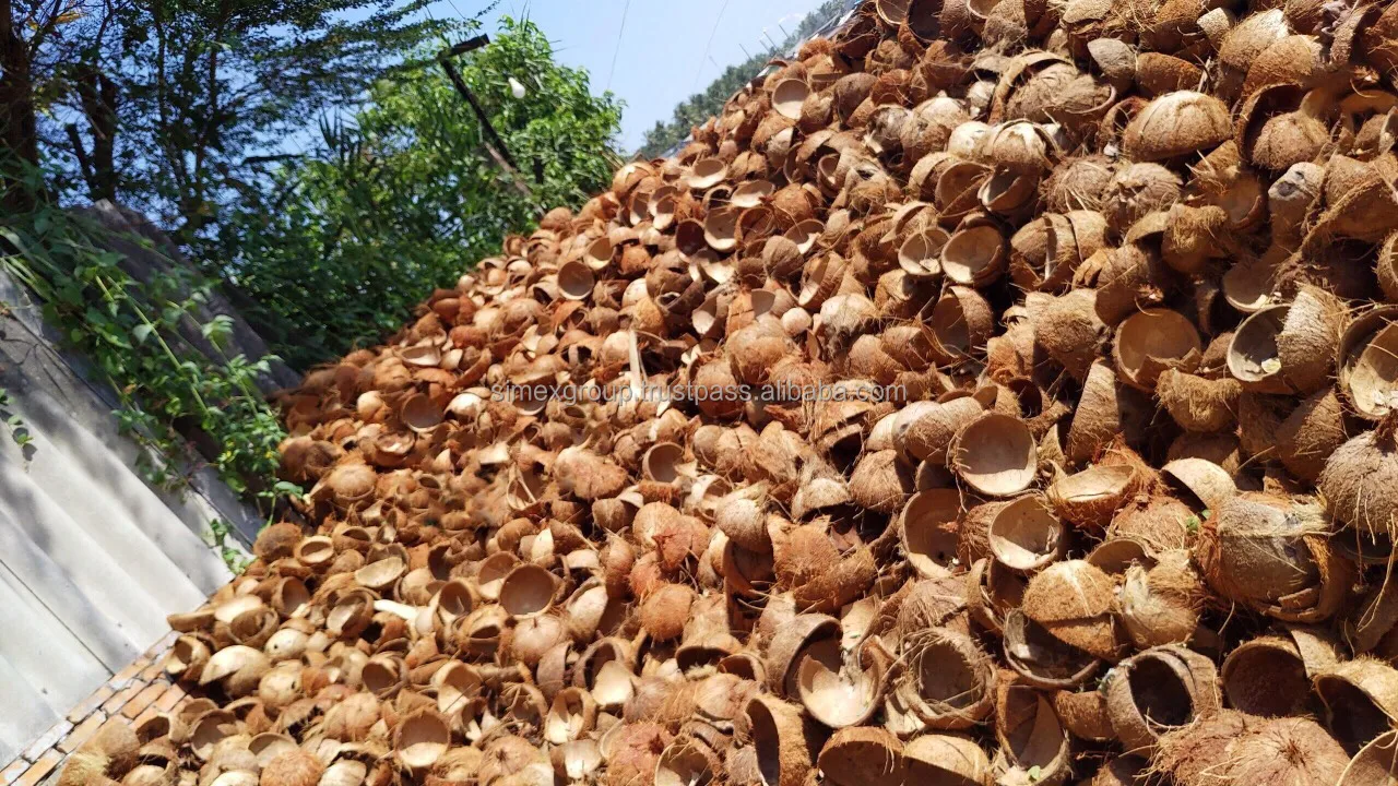 Coconut Shell Charcoal Charcoal Briquettes Coconut Shells 100% ...