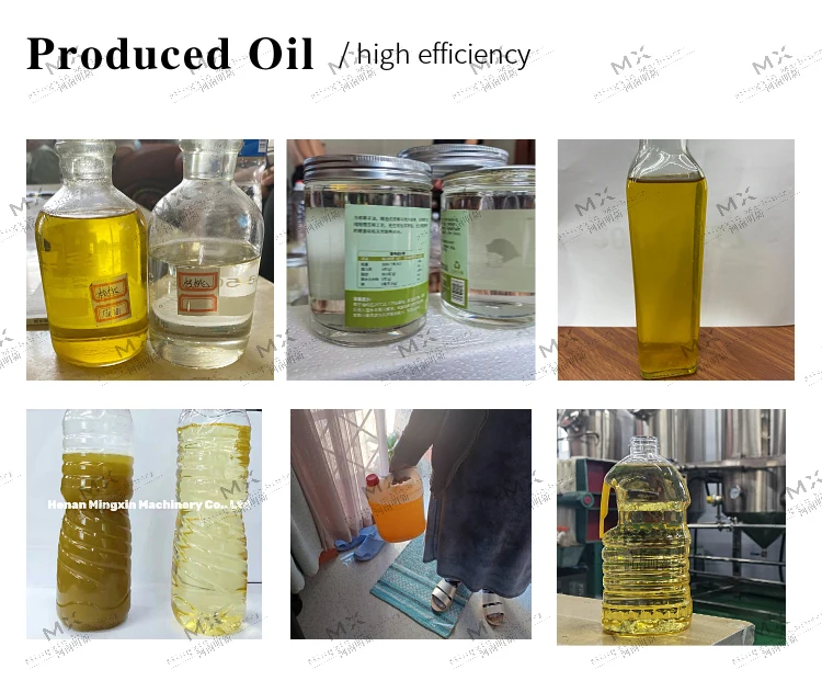 Commercial Cooking Oil Making Machine - Corn Germ Peanut Oil Press Machine