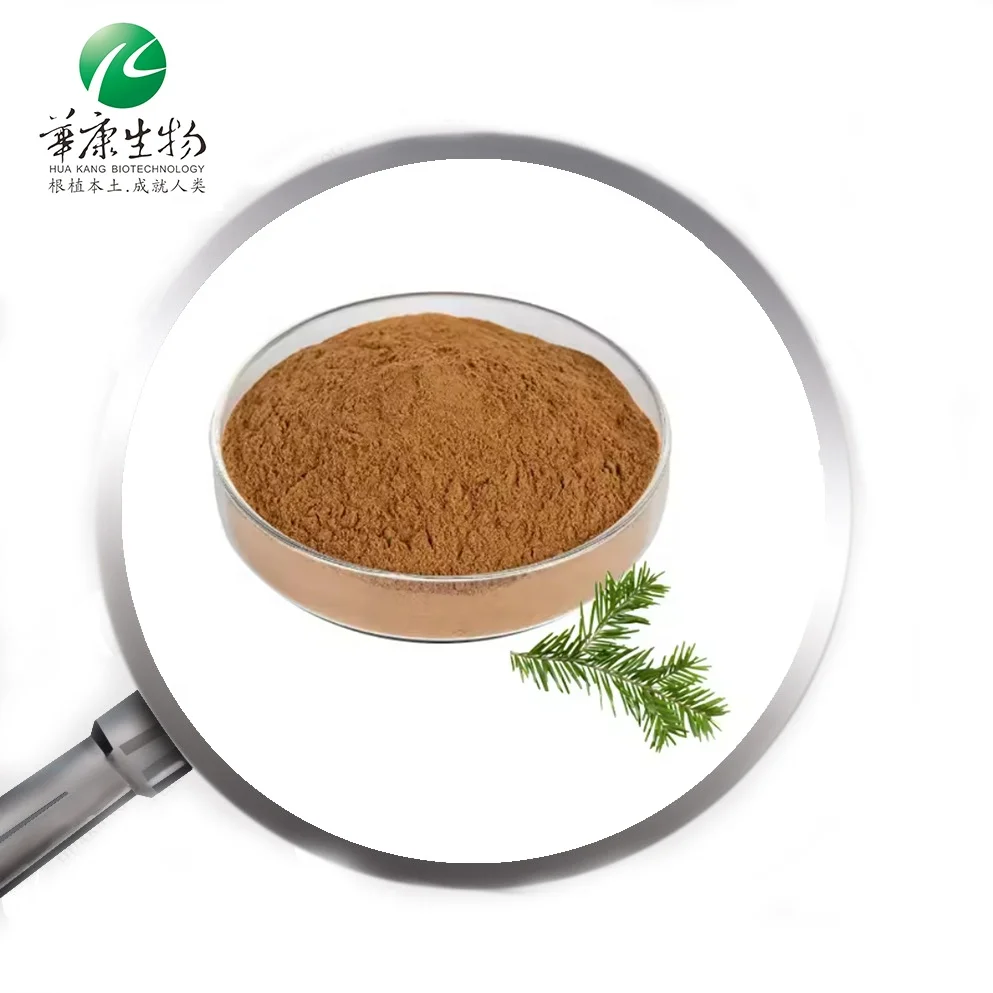 100% Pure Pine Needle Tea Leaf Concentrated Extract Powder Suramin ...