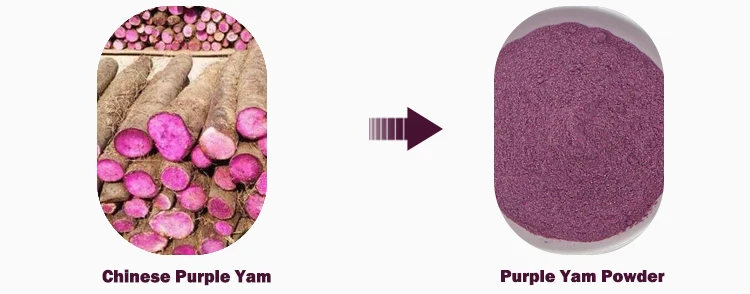 GMO Free Natural Chinese Organic Pure Purple Yam Powder