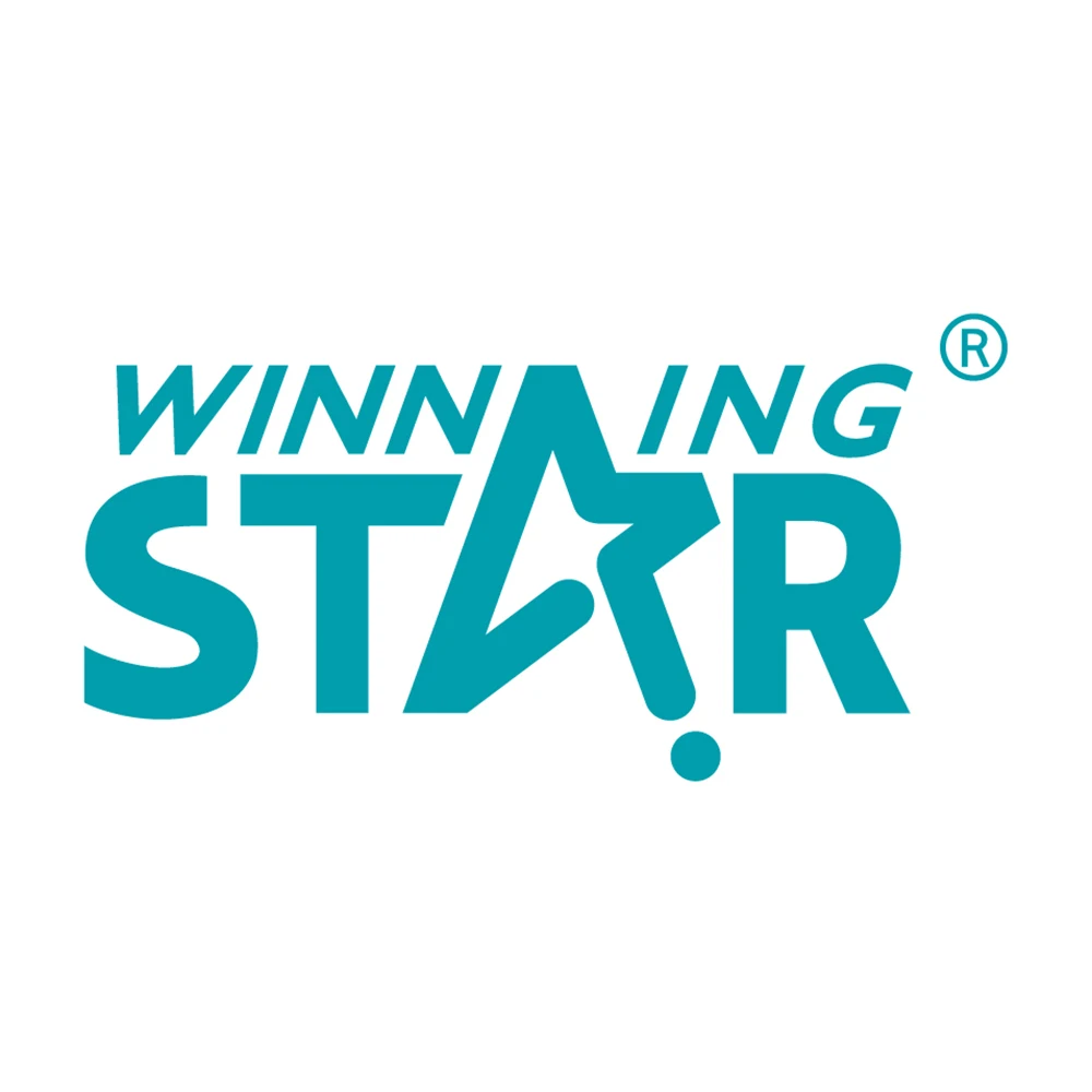 Company Overview - Yiwu Winning Star Electronic Technology Co., Ltd.