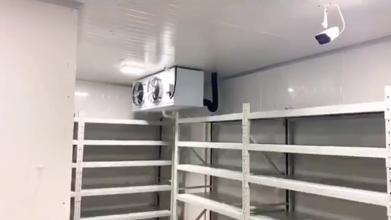 Factory Custom Size Freezer Cold Storage Removable Cold Storage Hinged ...