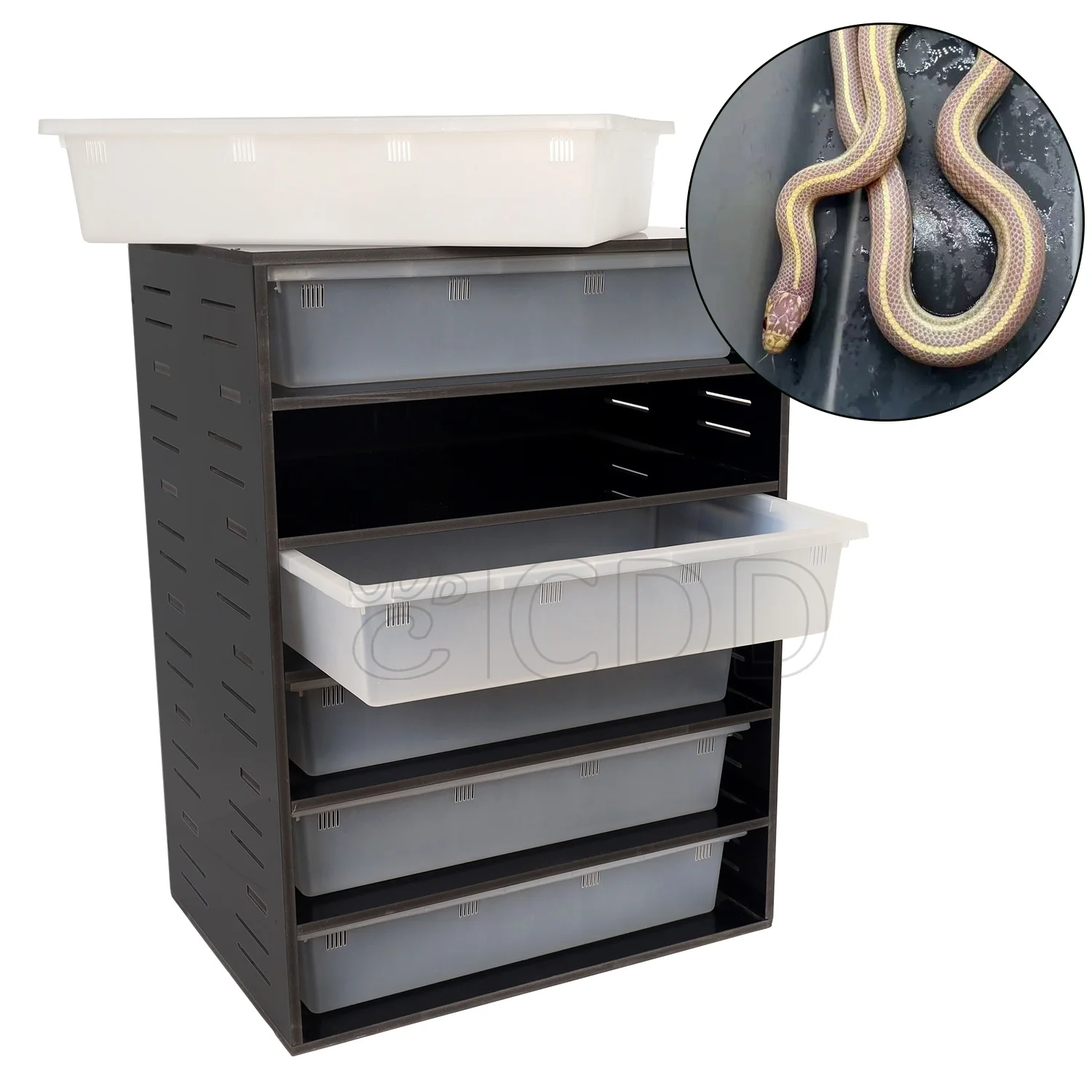 Python Professional Snake Enclosures Snake Cage For Ball Python Snake ...