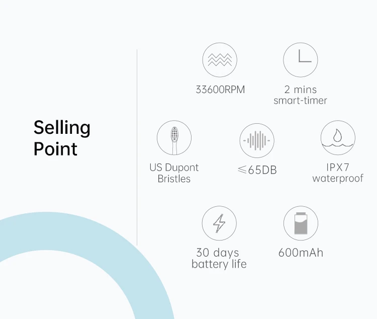 Customized 30 Sec Interval Reminding Sonic Electric Toothbrush SN303 ...