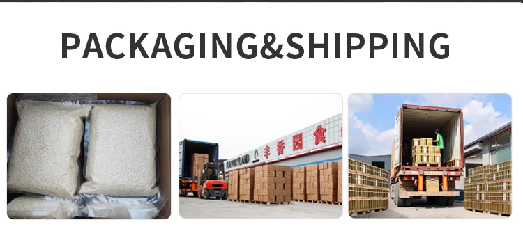 1kg White Sesame Premium Roasted White Sesame Seed - Buy Roasted Sesame ...