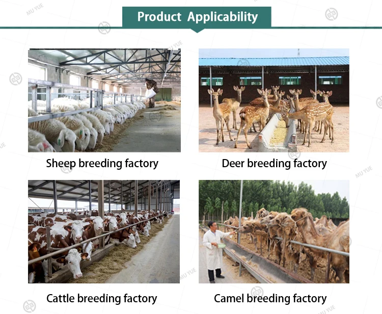 Alibaba.com: 5% cow premix feed with amino acids concentrate for cattle, sheep, and goat ...