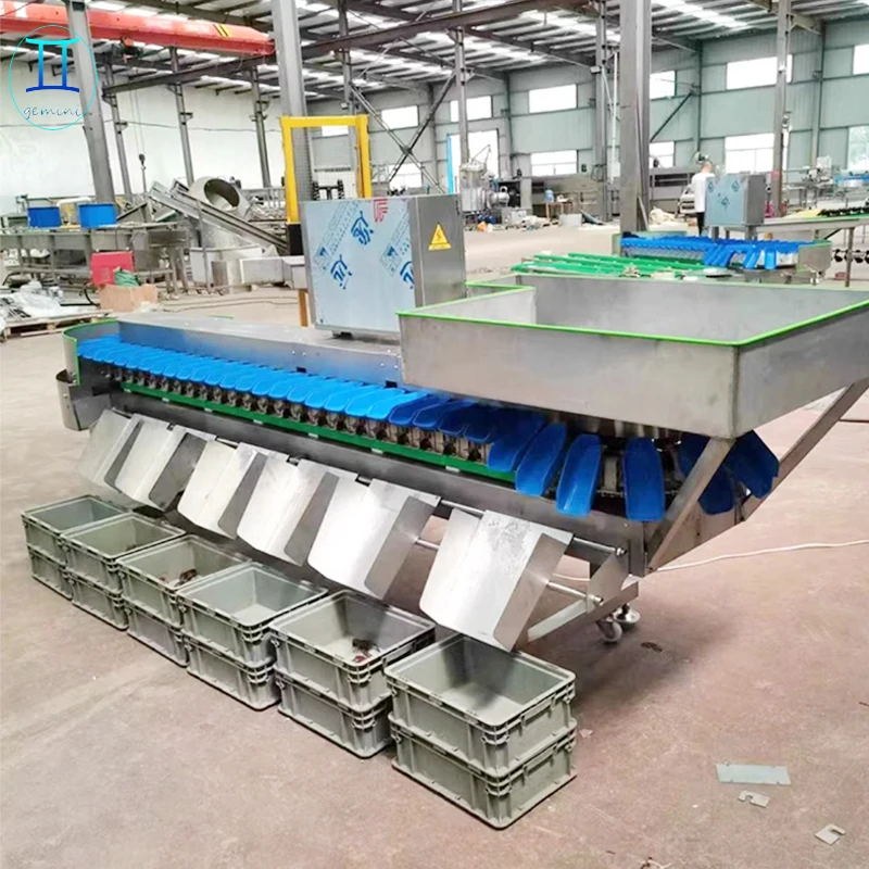 Automatic Chicken Legs Feet Wings Whole Chicken Sorting and Grading ...