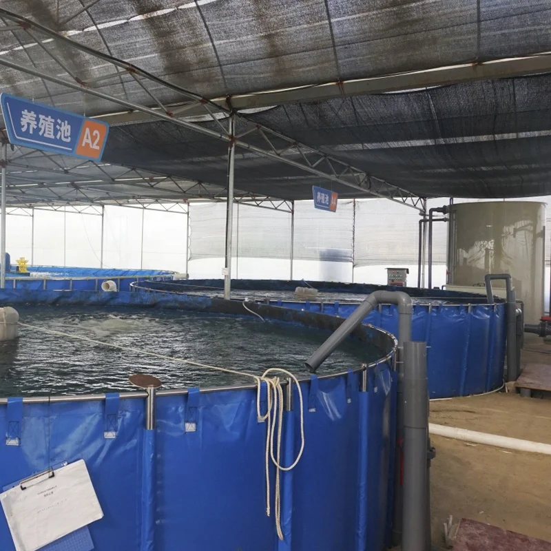 Fish Culture Recirculation Aquaculture System for Indoor Farming