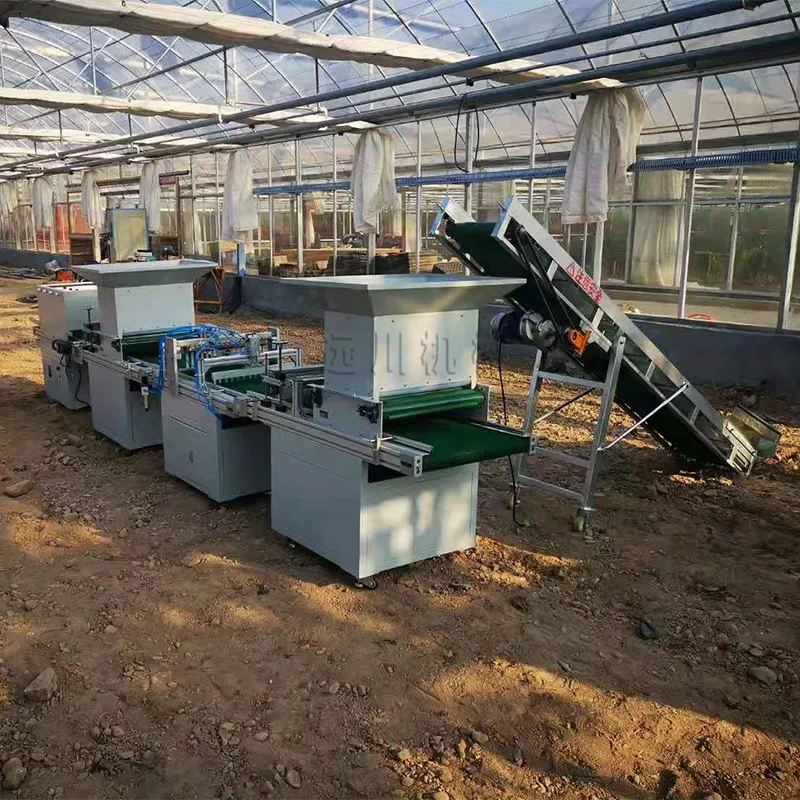 Hot Selling Automatic Seedling Tray Machine - Fast Sowing