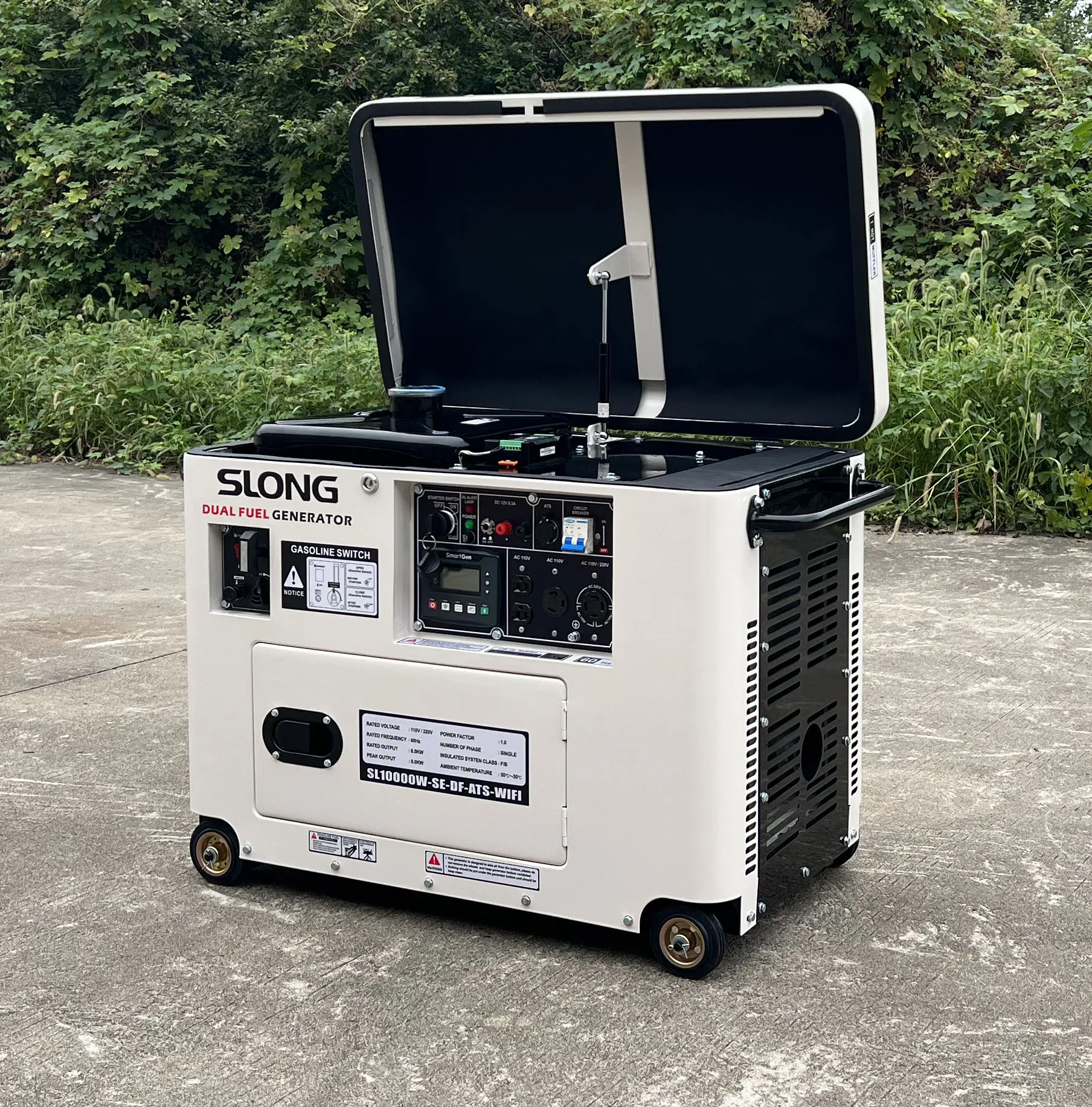 Hot Sale 10kw Gas Lpg Gasoline Portable Electric Generator Engine ...