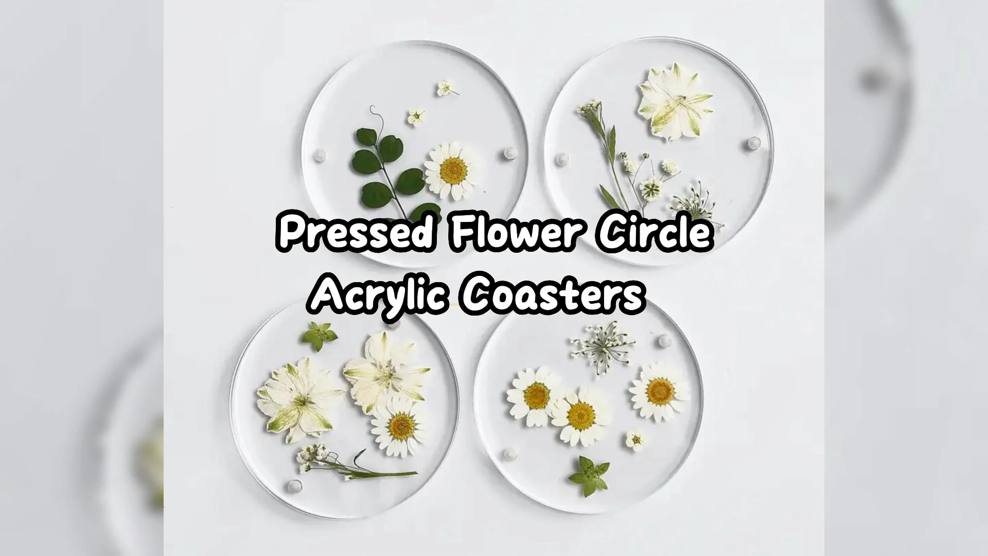 4 Pack Pressed Flower Circle Acrylic Coasters With Magnets 3.5inch ...