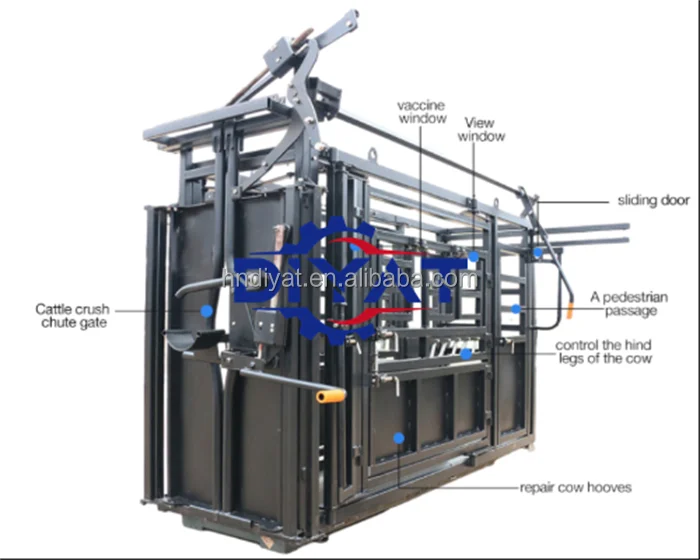 Galvanized Cattle Yard Vet Squeeze Cattle Crush With Cattle Bucking ...