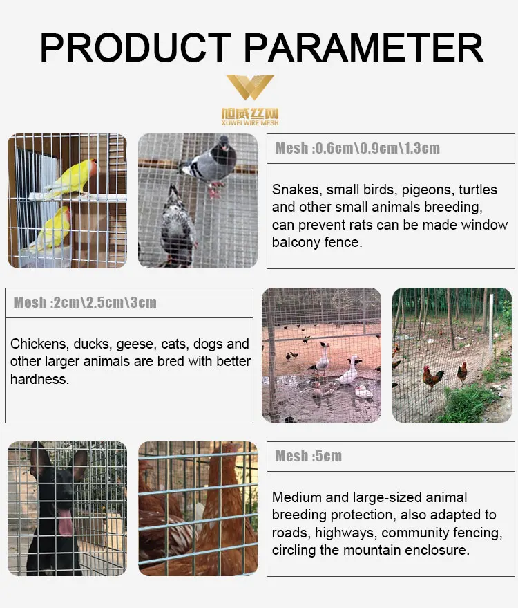 Gardens Hot Galvanizing Welded Wire Mesh Chicken Coop Welded Wire Mesh ...