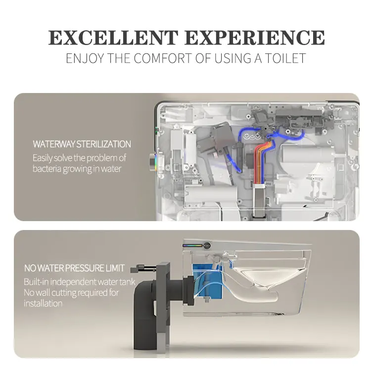 Wall Hung Smart Toilet with Concealed Cistern Heated Seat Intelligent ...