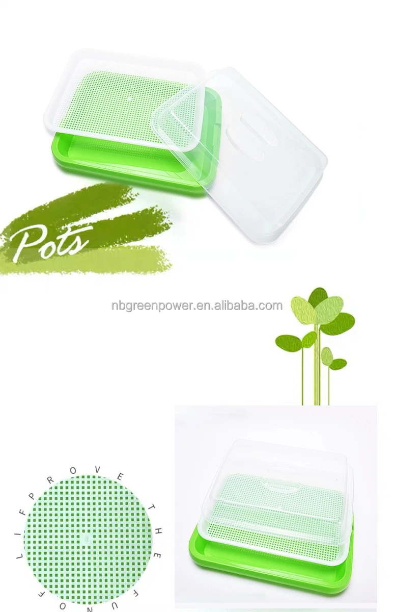 Plastic Seed Sprouter Tray with Lid - Eco-Friendly Germination