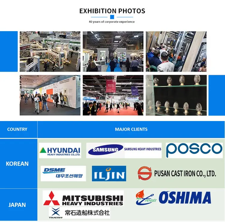 Descaling Gp Sae Steel Grit G16 G18 G25 G40 G50 Steel Grit For Blasting ...