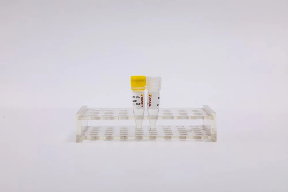 Gds Fast Fragmentation And End Prep Module K032 Buy Dna Fragmentation