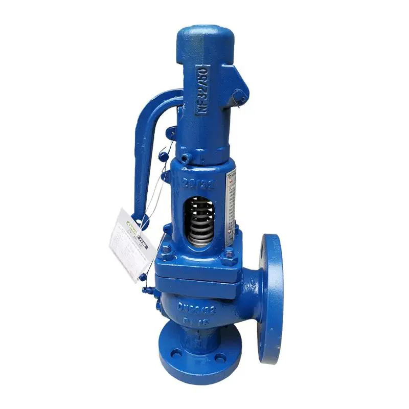 DIN Spring Loaded Pressure Safety Valve DN50 DN80 Safe Type Valves 901 ...