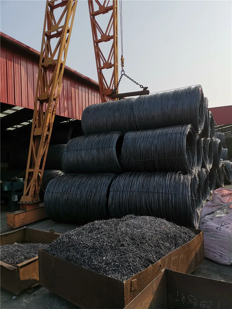 Electro Galvanized Iron Nails Common Nail Without Head Cheap Nails ...