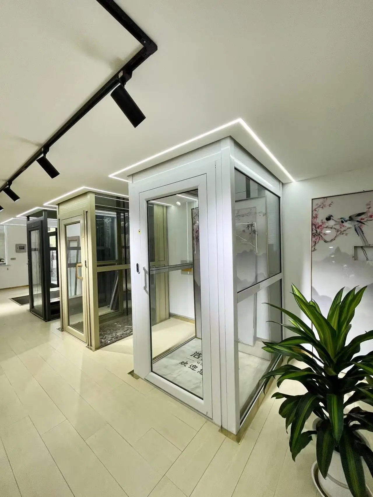 HAOYUAN Modern Stainless Steel Home Elevator Lift for Elderly People AC ...