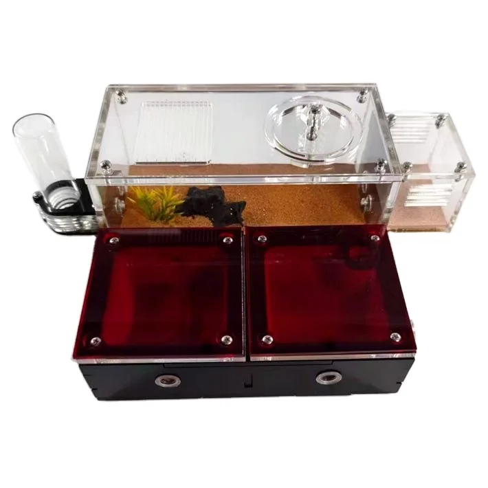 Infinitely Expandable Ant Castle Single Water Tower Pet Ant Queen ...