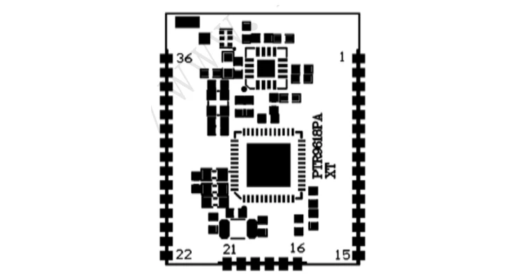 Nordic Nrf52832 Bluetooth Low Energy Module with Amplifier