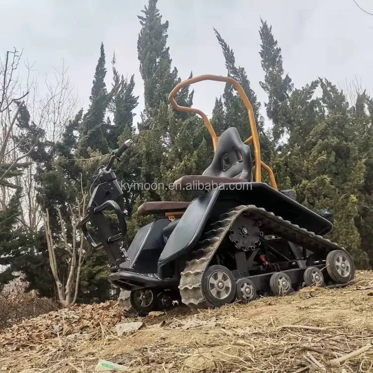 Rubber Track Wheelchair - Customized All Terrain Electric Vehicle for ...