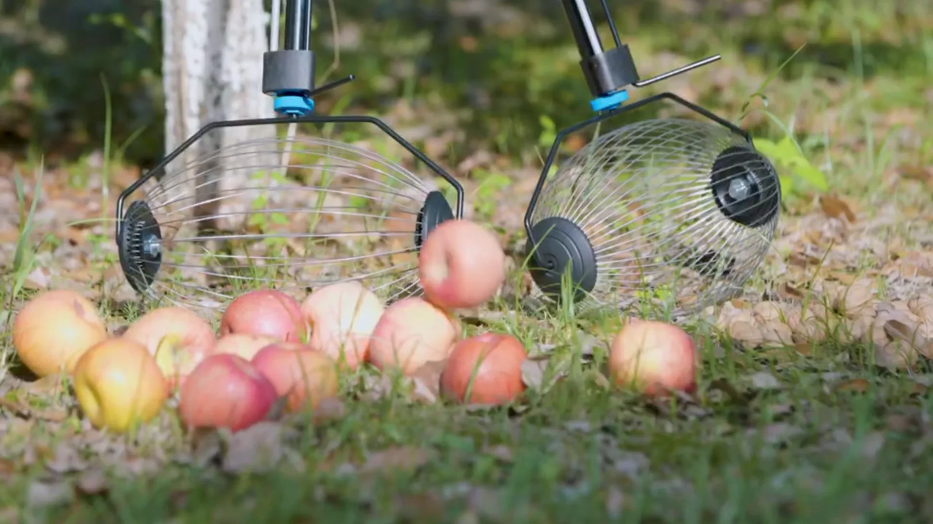 Garden Rolling Nut Collector Nut Picker Nut Gatherer With Steel Handle ...