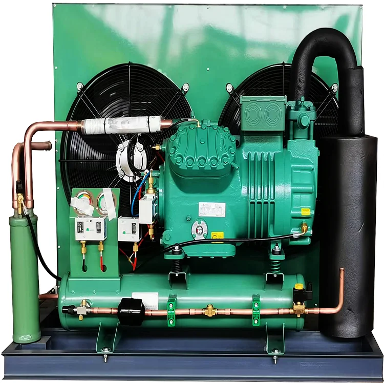 Bitzer Piston Refrigeration Unit Compressor Freezer Energy-Saving Cold ...