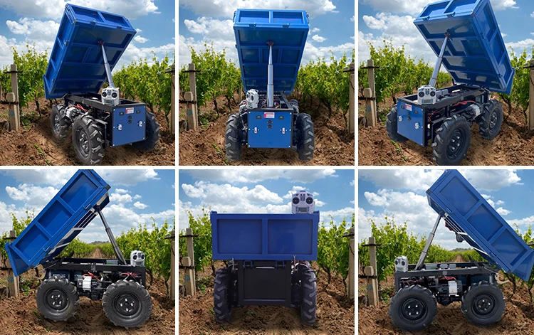 110cc Automatic Transmission Agriculture UGV Robot Trolley Carrier ...