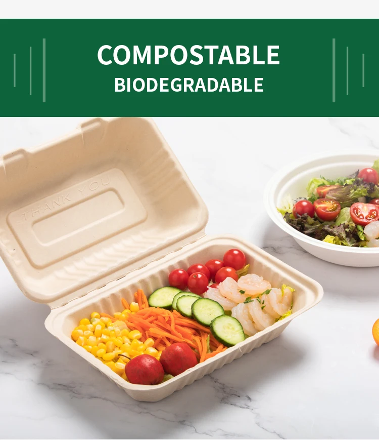 1500ml Bagasse Food Packaging - Biodegradable & Compostable