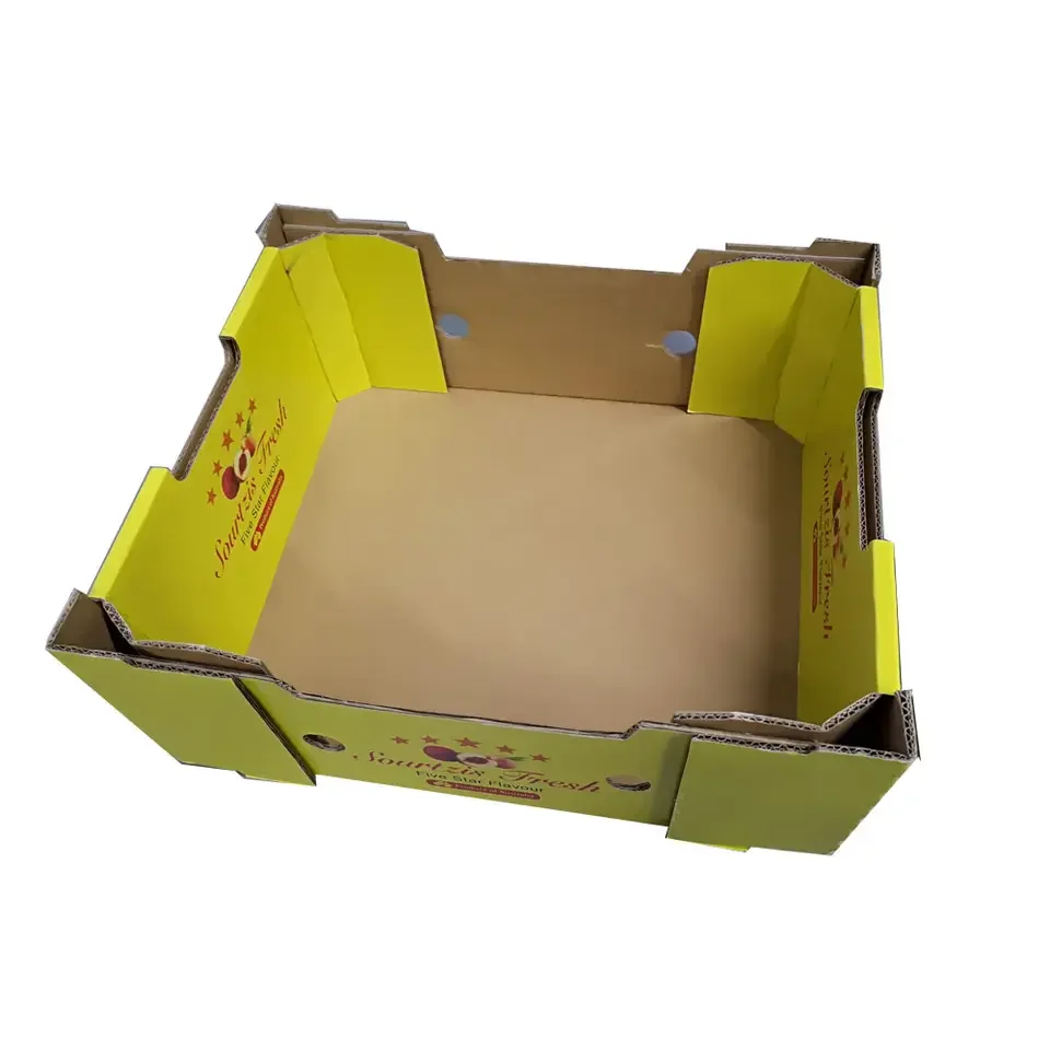 Cardboard Mushroom Box - Growing Kit with Handle