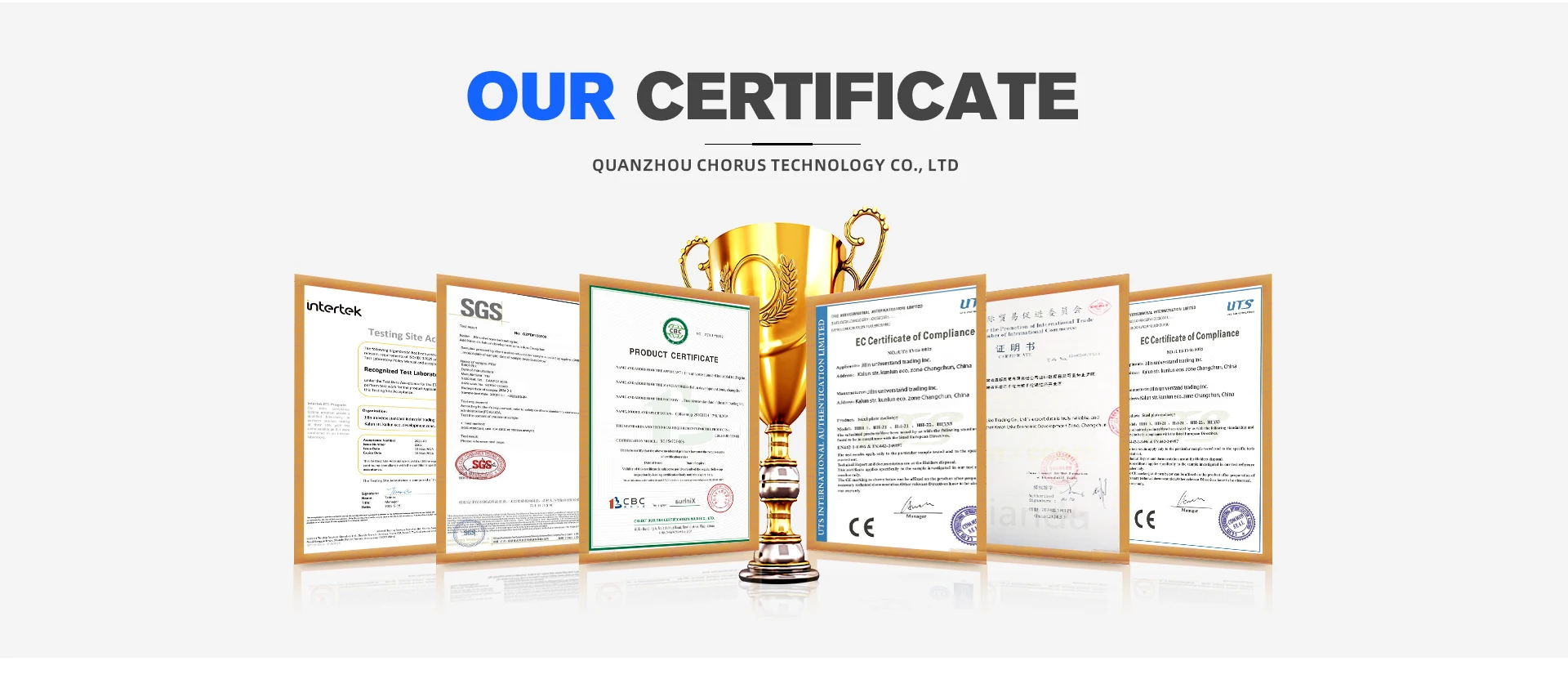 Company Overview - Quanzhou Chorus Technology Co LTD