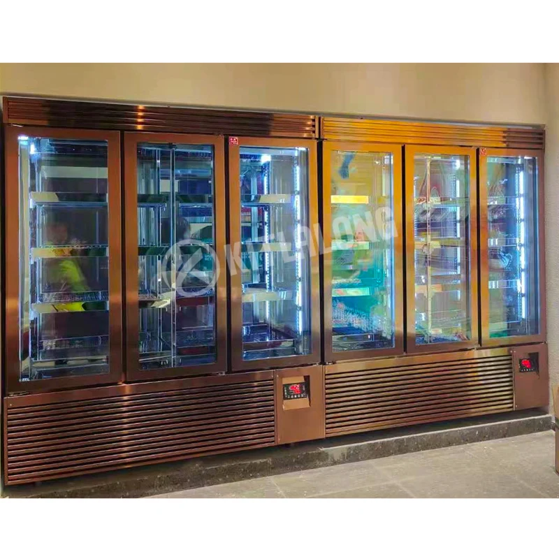 Commercial Customized Display Steak Meat Dry Aging Cabinet Dry Aging ...