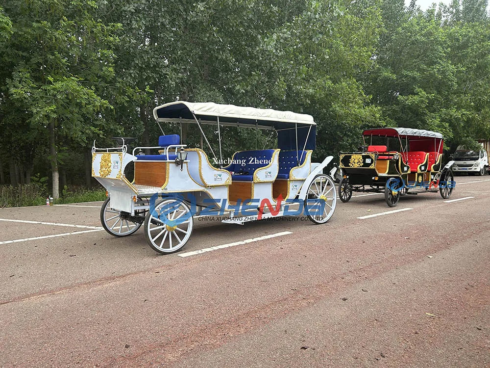 Royal Prince William Tour Electric Cart Romantic Horse Drawn Carriage ...