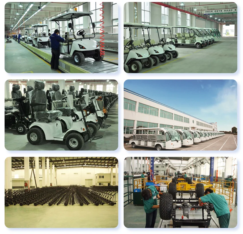 2 Seater Electric Sightseeing Bus Cheap Prices Buggy Car Single Row ...