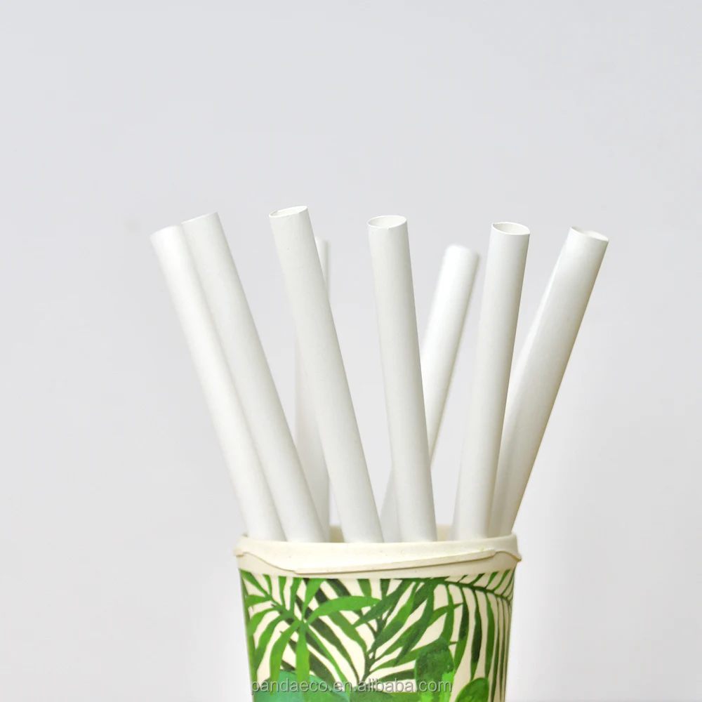 Bamboo Straws Sugarcane Fiber Bagasse Straw Compostable - Buy ...