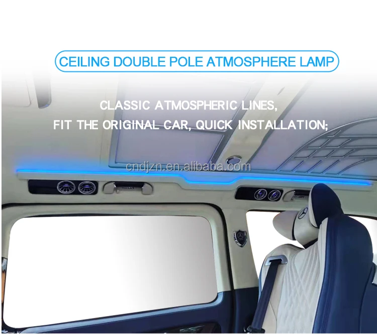 Luxury Car Interior Lighting - Double Pole Lights for MPV