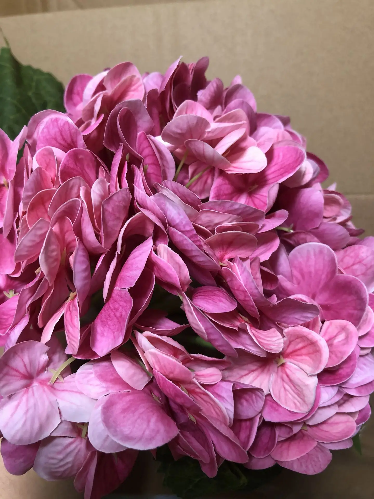 2024 3d Hand Feeling Moisturizing Hydrangea - Buy Single Hydrangea ...