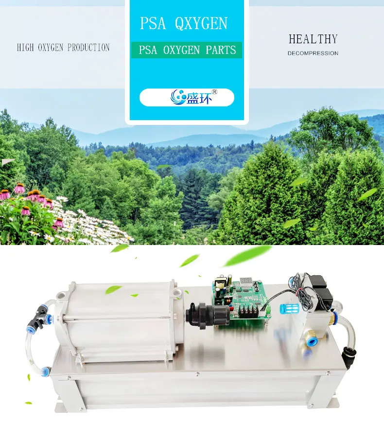 Factory Sales PSA Oxygen Concentrator Ozone Generator Parts Ozone ...